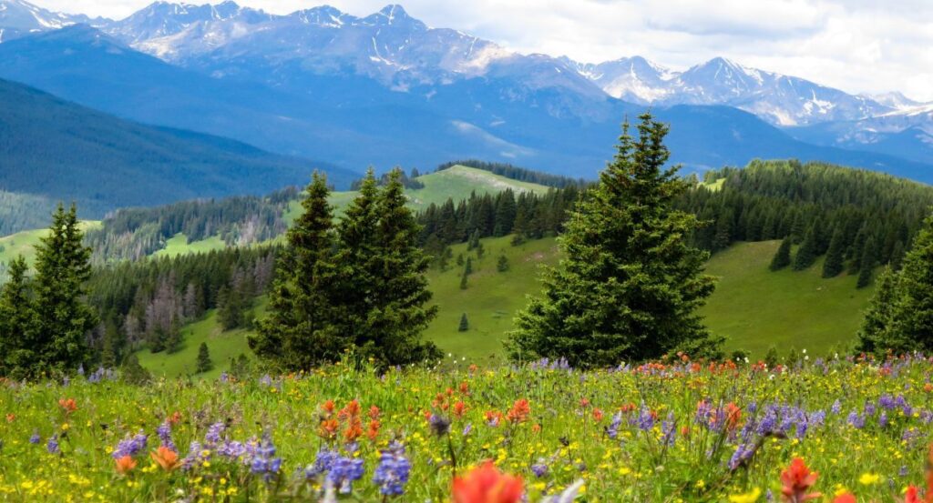 Vail Valley Off-Road Tour - Adventure Outdoors